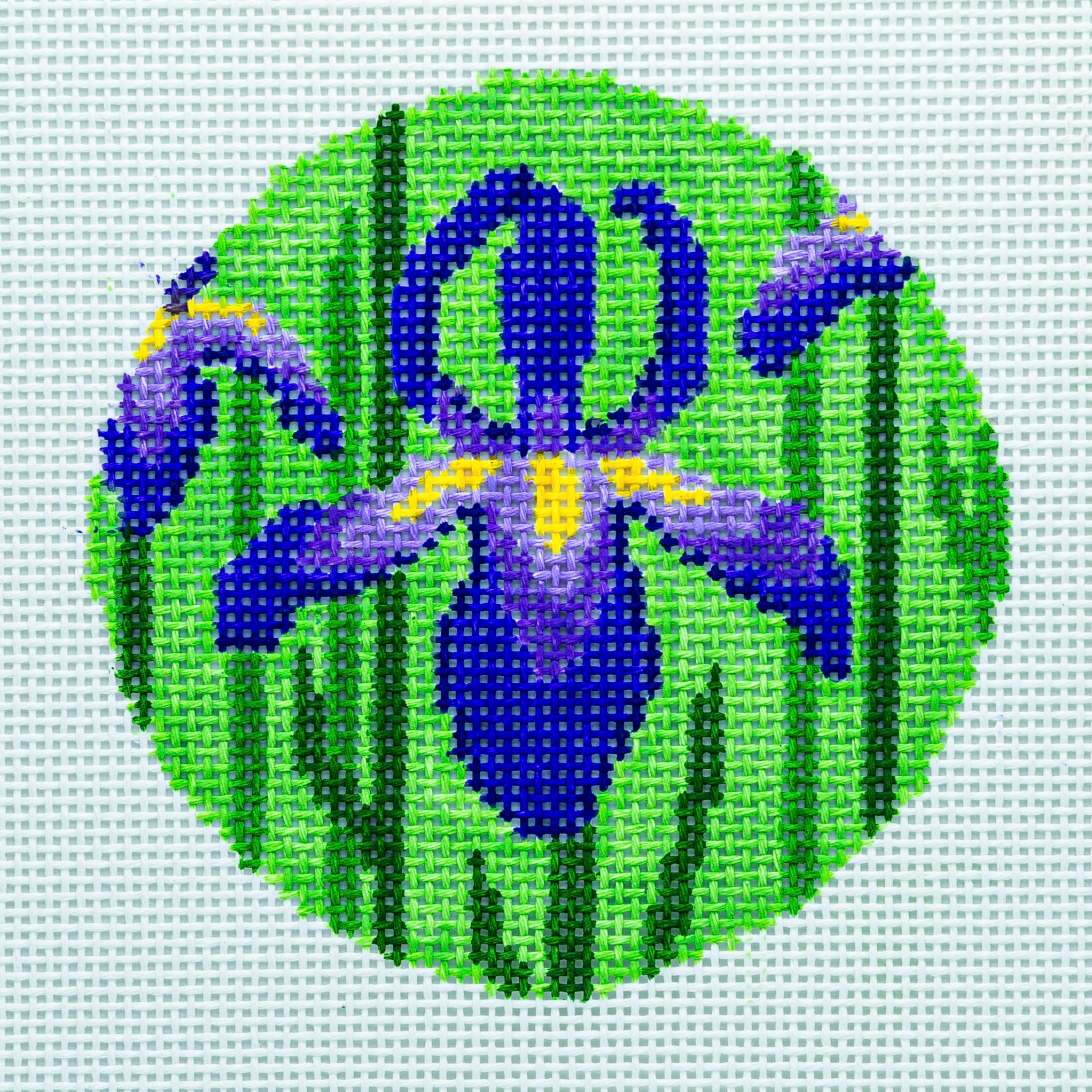 Iris – Needle NOLA